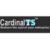 Portfolio | Cardinal Technology Solutions