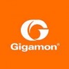 Portfolio | Gigamon